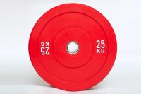 China Colorful 10kgs Plastic Barbell Plates With Stainless Steel for sale