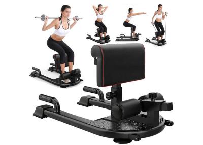 China Unisex Multifunctional Leg Abdominal Strength Training Sissy Squat Machine for sale