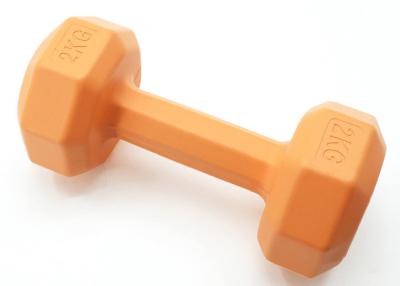 China New Style Customizable Cement Dumbbells For Body Building Free Weights for sale