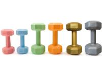 China Gym Fitness Equipment Plastic Yoga Small Dumbells Set For Women for sale
