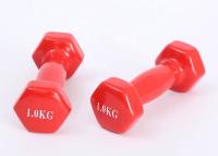 China OEM Home Fitness Equipment Colored Frosted Dumbbells For Women for sale