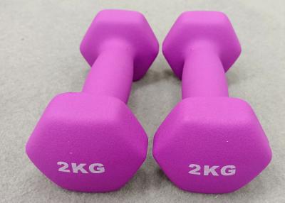 China Anti Slip Silent Household Solid Cast Iron Impregnated Hexagonal Dumbbell For Home for sale