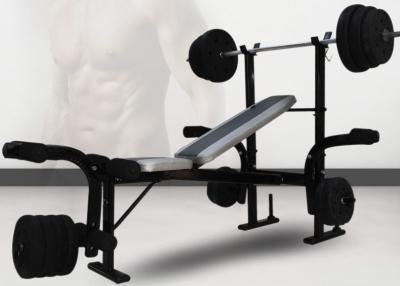 China Fitness Gym Workout Weight Lifting Workout Adjustable Squat Dumbbell Bench Rack for sale