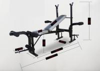 China Fitness Gym Workout Weight Lifting Workout Adjustable Squat Dumbbell Bench Rack for sale