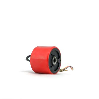 China HOBBYSKY 24V-36V 70mm Hub Brushless Motor PU Wheel Remote Control Electric Skateboard/Longboard Mini E-scooter 12-Month Warranty for sale