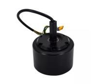 China Factory & Customizable & Balanced Brushless DC Drive 24V-48V 90mm Hub Motor with PU Wheel for RC Skateboard Longboard E-scooter for sale