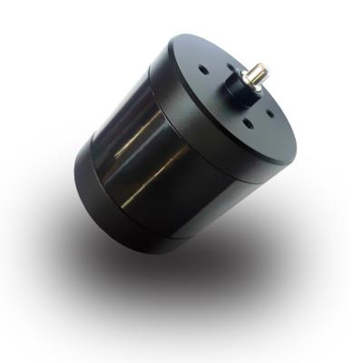 China Factory & Customizable &Balanced BLDC  4125  300kv 3-6s Waterproof Motor for Underwater Rc Hobby Toy Boat Submarine  Sea Scooter for sale