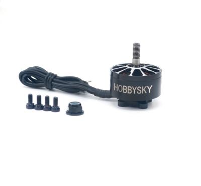 China Factory Hot Sale HOBBYSKY brushless DC motor 2807 KV1300 3~6S Brushless Motor for FPV Freestyle Long Range Drone for sale