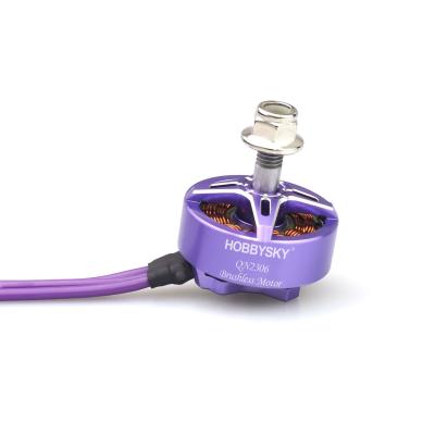 China Factory & Customizable&Balanced QN2306 BLDC Drive Motor for Drone FPV Mini RC Multicopter Quadcopter Gopro Fixed-wing Airplane for sale