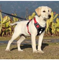 China Dog leash explosion-proof big dog chest harness reflective large dog dog leash vest pet leash for sale