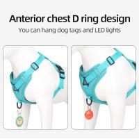 China Leash for small dogs and cats with reflective breathable vest pet harness for sale