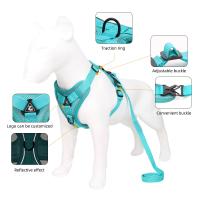 China Leash for small dogs and cats with reflective breathable vest pet harness for sale
