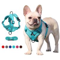 China Leash for small dogs and cats with reflective breathable vest pet harness for sale