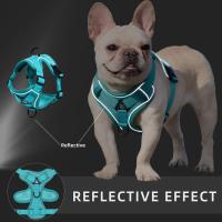China Leash for small dogs and cats with reflective breathable vest pet harness for sale