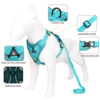 China Leash for small dogs and cats with reflective breathable vest pet harness for sale