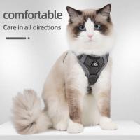 China Leash for small dogs and cats with reflective breathable vest pet harness for sale