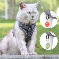 China Leash for small dogs and cats with reflective breathable vest pet harness for sale