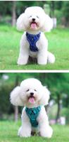 China Leash for small dogs and cats with reflective breathable vest pet harness for sale