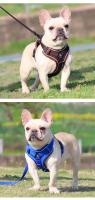 China Leash for small dogs and cats with reflective breathable vest pet harness for sale