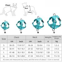 China Leash for small dogs and cats with reflective breathable vest pet harness for sale