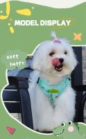 China New dog leash small and medium-sized dog chest harness cartoon dinosaur dog walking rope reflective pet chest harness for sale