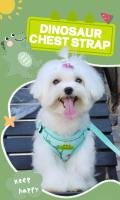 China New dog leash small and medium-sized dog chest harness cartoon dinosaur dog walking rope reflective pet chest harness for sale