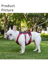 China Dog harness for small and medium sized dogs, anti-breakaway dog ​​leash, reflective anti-escape leash for sale
