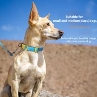China Small and medium-sized dog collar traction set anti-breakaway pet collar dog traction rope for sale