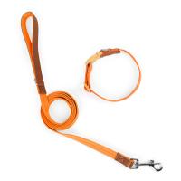 China Small and medium-sized dog collar traction set anti-breakaway pet collar dog traction rope for sale