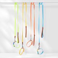 China Small and medium-sized dog collar traction set anti-breakaway pet collar dog traction rope for sale