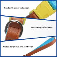 China Small and medium-sized dog collar traction set anti-breakaway pet collar dog traction rope for sale