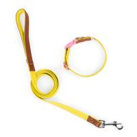 China Small and medium-sized dog collar traction set anti-breakaway pet collar dog traction rope for sale