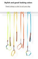 China Small and medium-sized dog collar traction set anti-breakaway pet collar dog traction rope for sale