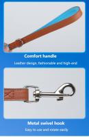 China Small and medium-sized dog collar traction set anti-breakaway pet collar dog traction rope for sale