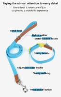 China Small and medium-sized dog collar traction set anti-breakaway pet collar dog traction rope for sale