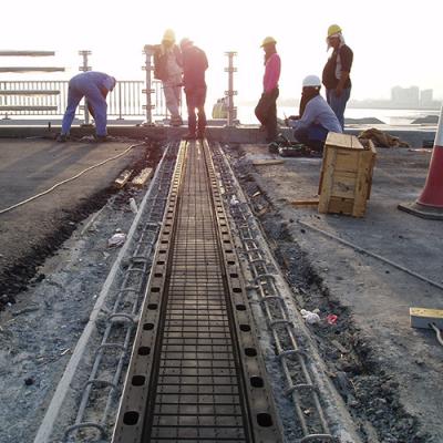 China High Movement Construction Joints In Bridges Transflex Expansion Joint for sale