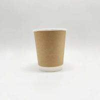 China Biodegradable 8oz 12oz Double Wall Paper Coffee Cups with Lids - Food Grade Custom Logo Printing Available for sale