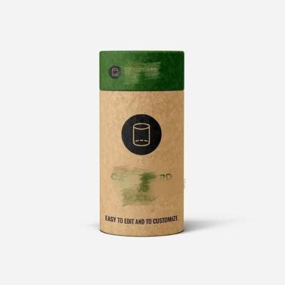 China Custom Kraft Paper Tube Packaging Can 100mm Diameter Eco-Friendly Cylinder Box for sale