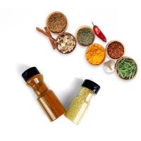 China PET Plastic Seasoning Bottle 100ml 200ml Multipurpose Spice Jar Salt Pepper Shaker for sale