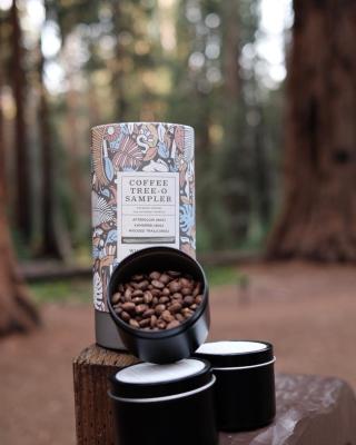China Custom Recyclable Food Grade Paper Tube Canister Airtight for Coffee Bean Powder Loose Tea 500ml for sale