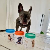 China Custom Printed Round Paper Tube Canister for Pet Food Treats Snack 500ml Eco Friendly for sale