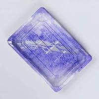 China Custom PET Sushi Tray with Lid - Food Grade Rectangular Plastic Container for Takeout - 10,000pcs MOQ for sale