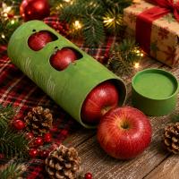 China Christmas Apple Gift Packaging Custom Printed Paper Tube with Window Eco Friendly Fruit Packaging for sale
