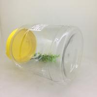 China Food Grade PET Plastic Jars 100ml to 1000ml Clear Candy Cans with Lids for sale
