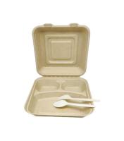 China Eco-Friendly Disposable Bento Box 20/40pcs Food Containers for Meal Prep and Takeaway Packaging for sale