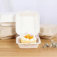 China Eco-Friendly Disposable Bento Box 20/40pcs Food Containers for Meal Prep and Takeaway Packaging for sale