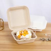 China Eco-Friendly Disposable Bento Box 20/40pcs Food Containers for Meal Prep and Takeaway Packaging for sale