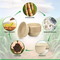 China 100% Biodegradable Sugarcane Fiber Disposable Soup Bowls - 12oz, 18oz, 24oz Sizes for Hot and Cold Food for sale