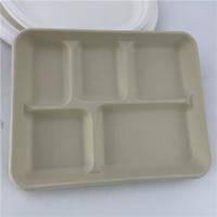 China Biodegradable Sugarcane Bagasse Pulp Paper Plates - 6/7/9/10 Inch Sizes, 100% Compostable Eco-Friendly Dinnerware for sale