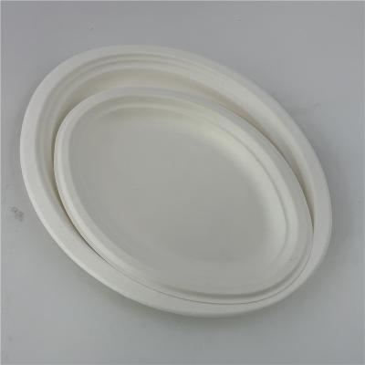 China Biodegradable Sugarcane Paper Plates 6 7 9 10 Inch - 100% Compostable Eco-Friendly Disposable Tableware for sale